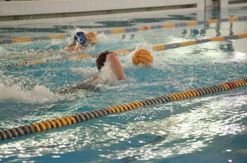 Lietuvos sporto universiteto baseinas laukia lankytojų | Lietuvos ...