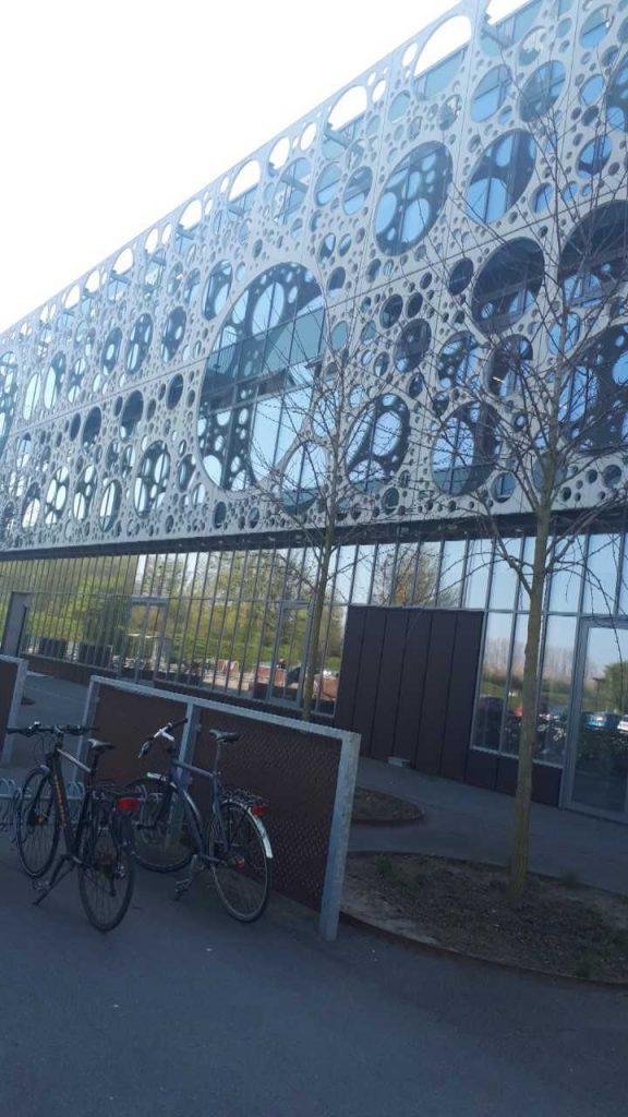 Southern Denmark University | Lietuvos sporto universitetas